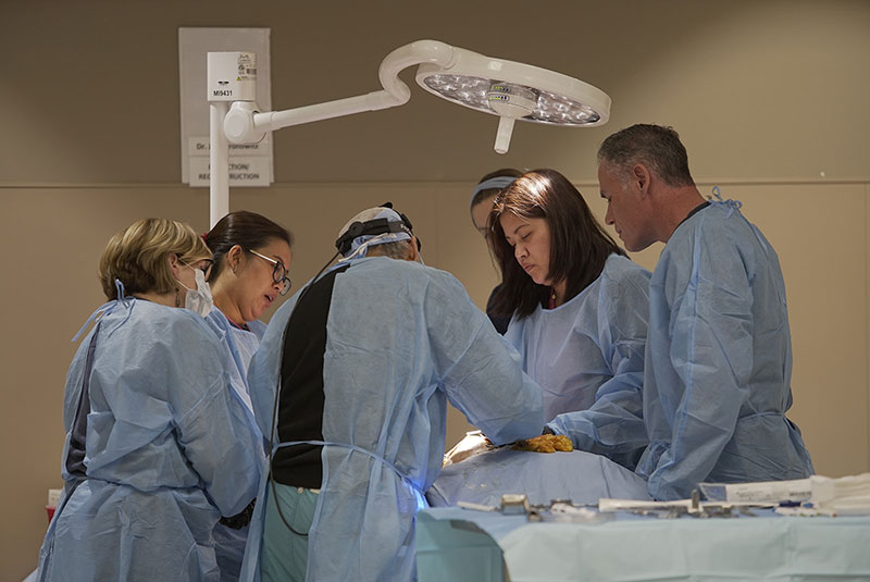 School of Oncoplastic Surgery – School of Oncoplastic Surgery